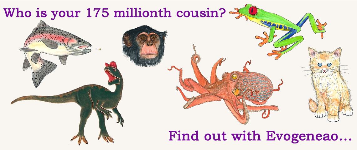 Evogeneao: The Tree of Life